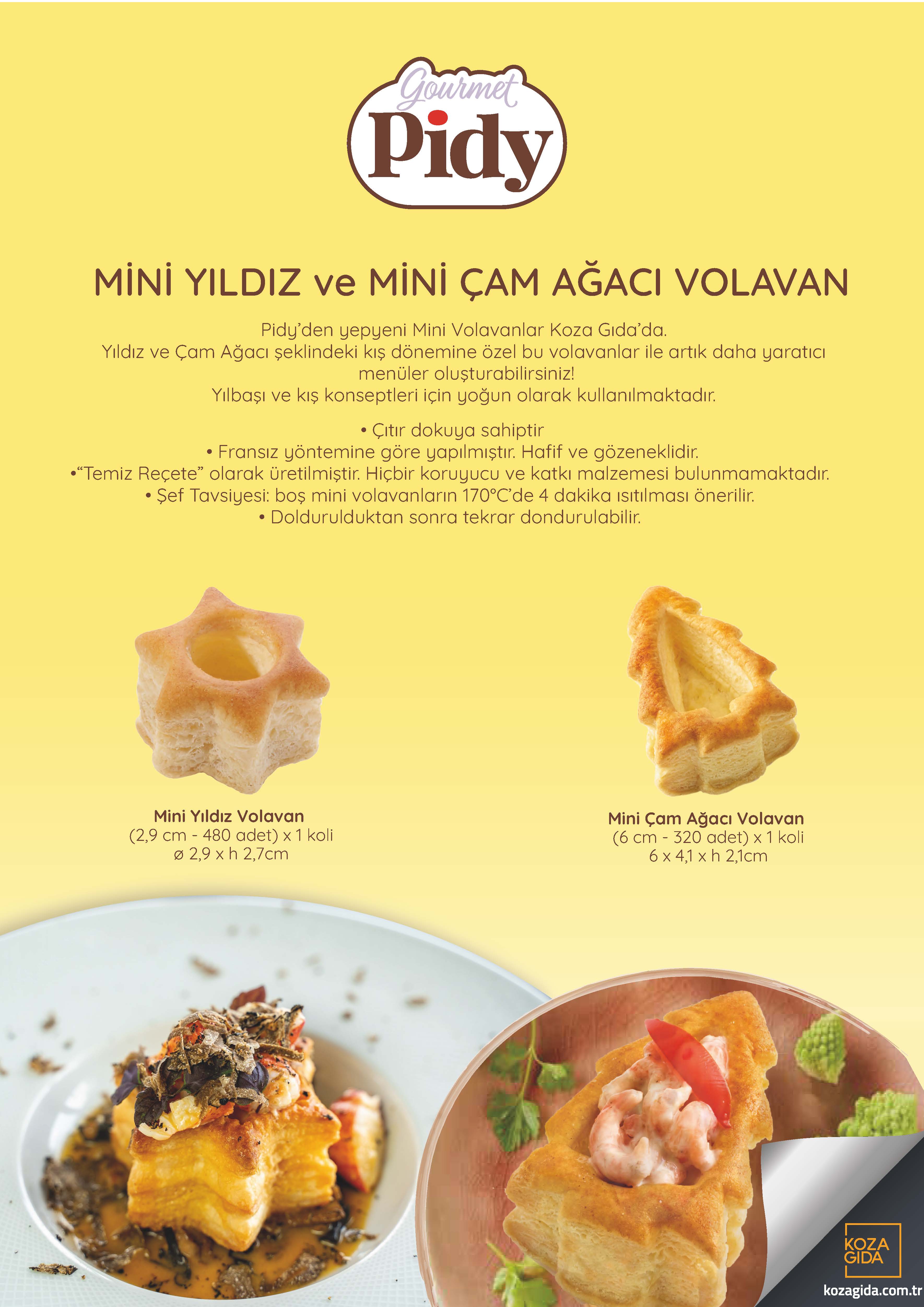 Koza Gıda Katalogları